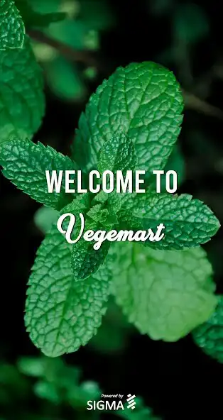 Vegemart Admin online game with UptoPlay