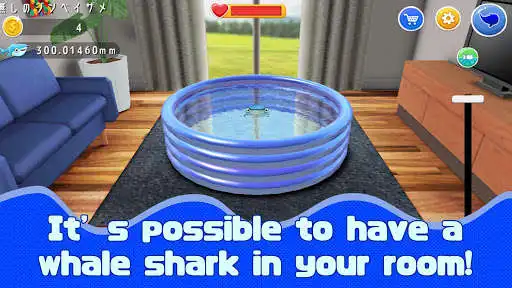 Juego online Tiburón ballena en mi habitación con UptoPlay
